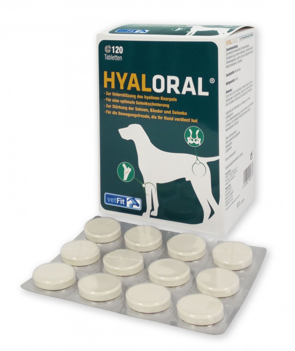 hyalORAL® für Hunde - Hyaluronsäure für gesunde Gelenke