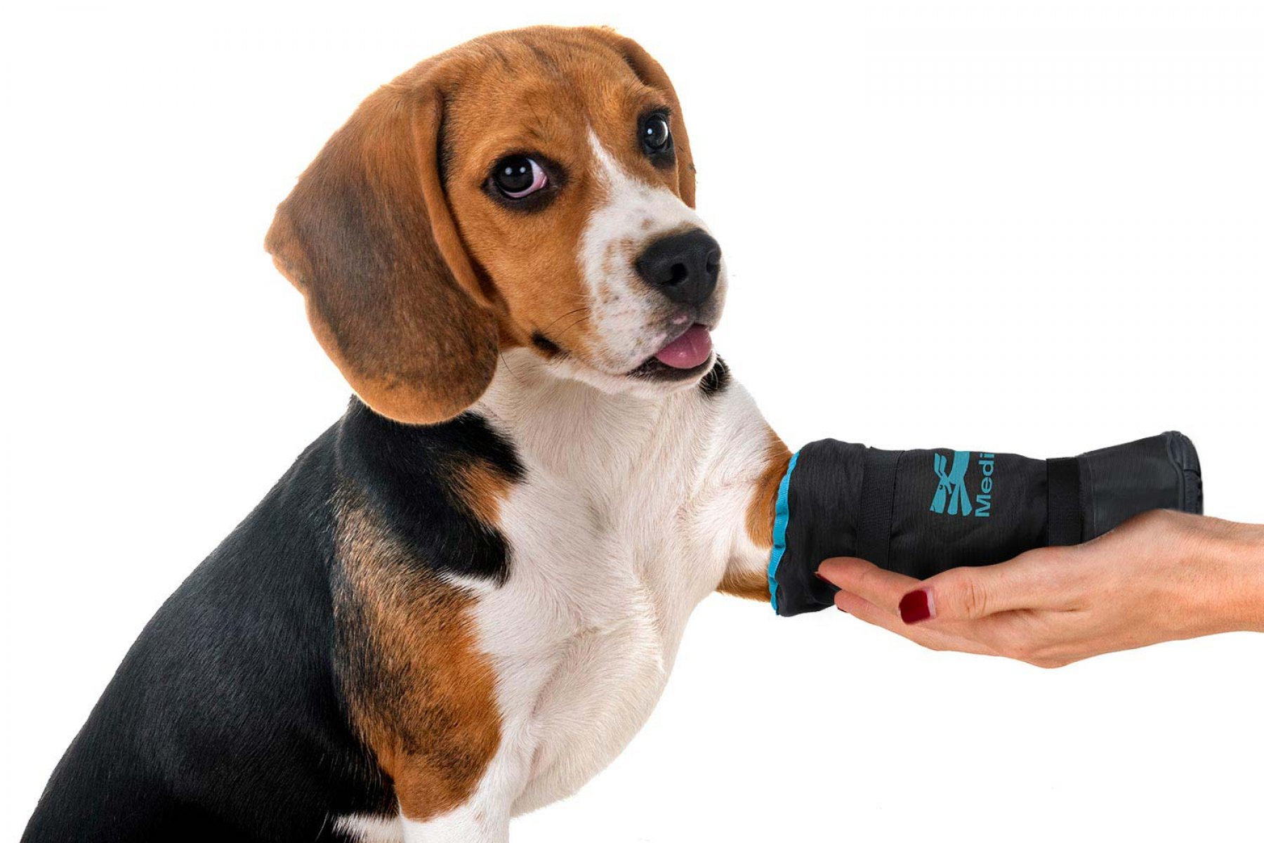 Medipaw Rugged X Boot - der Hundeschuh zum Schutz