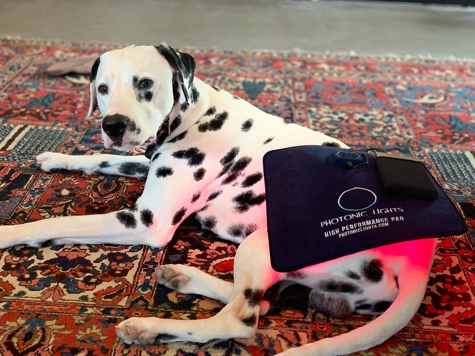 Photizo Photonic Lights HighPAD 3 Rotlichttherapie