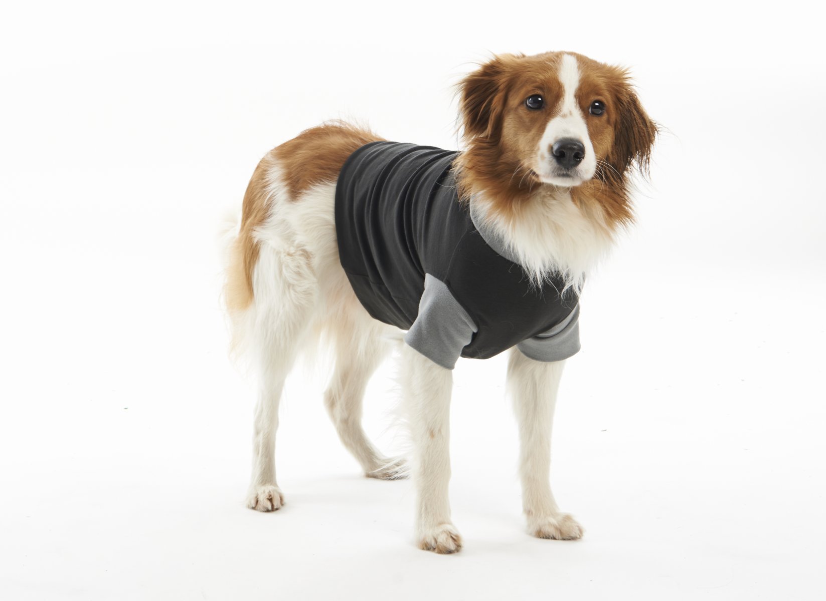 KRUUSE Buster Body Suit für Hunde