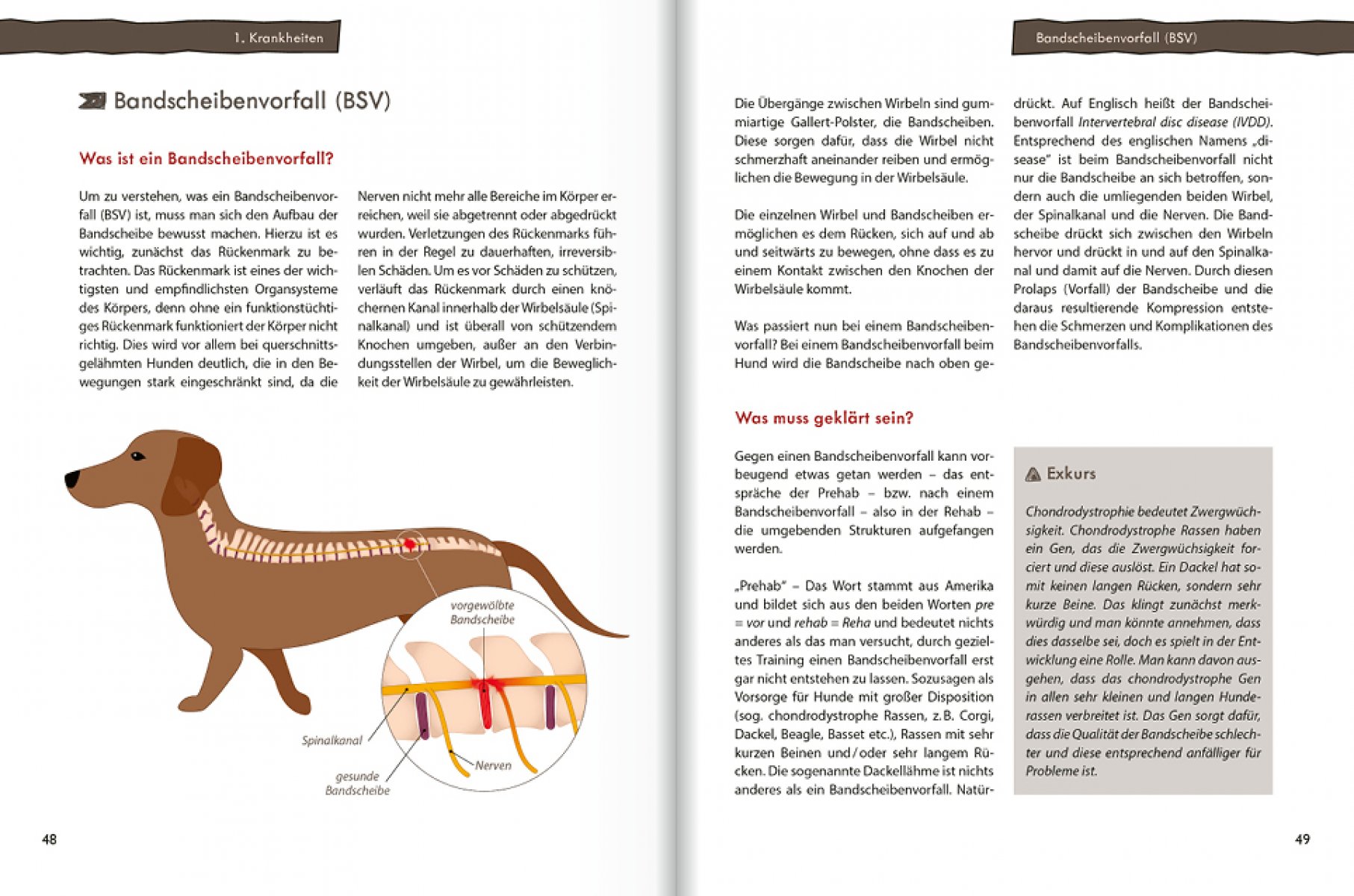 Gymnastricks 2.0, von Carmen Heritier