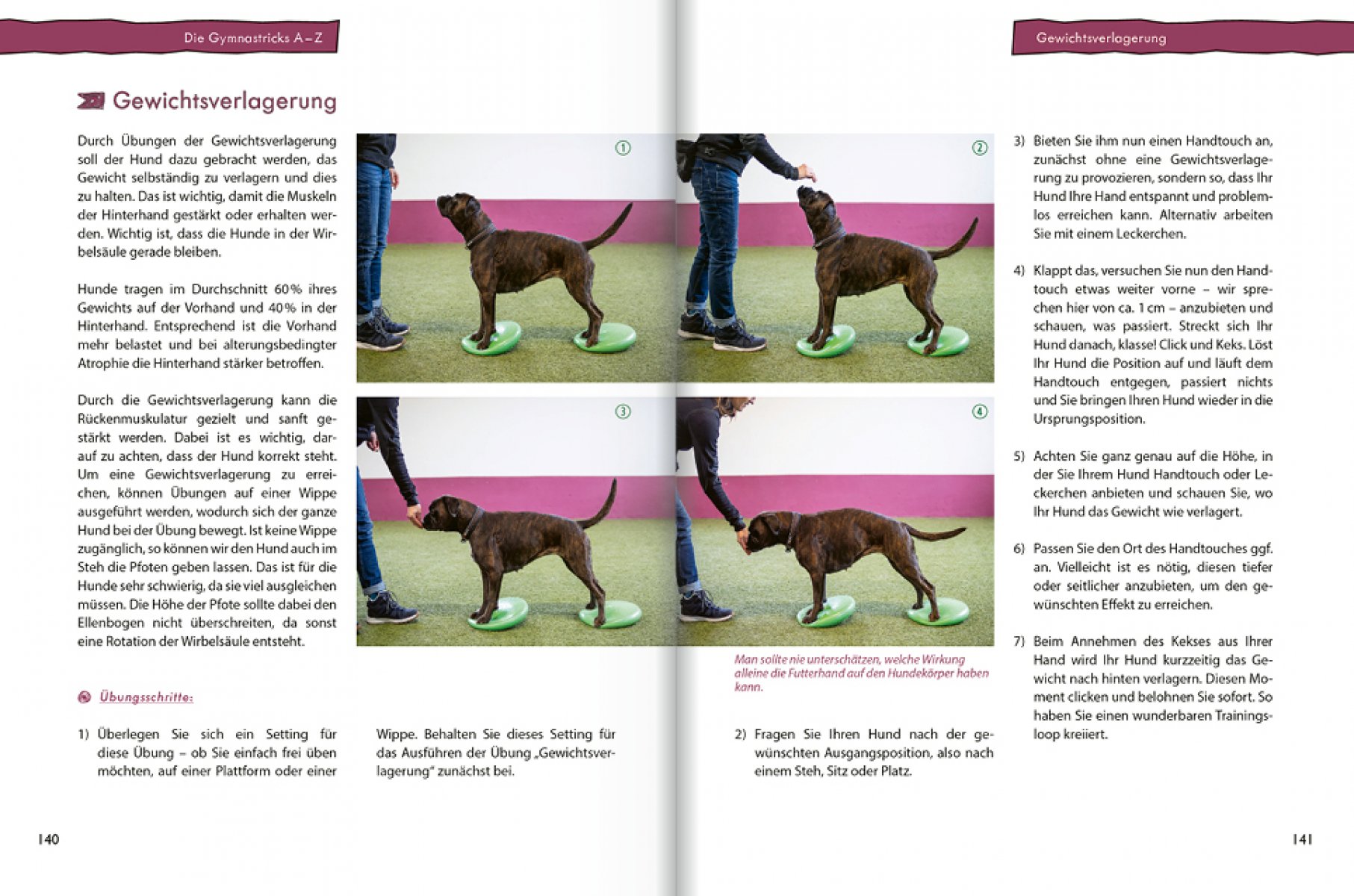 Gymnastricks 2.0, von Carmen Heritier