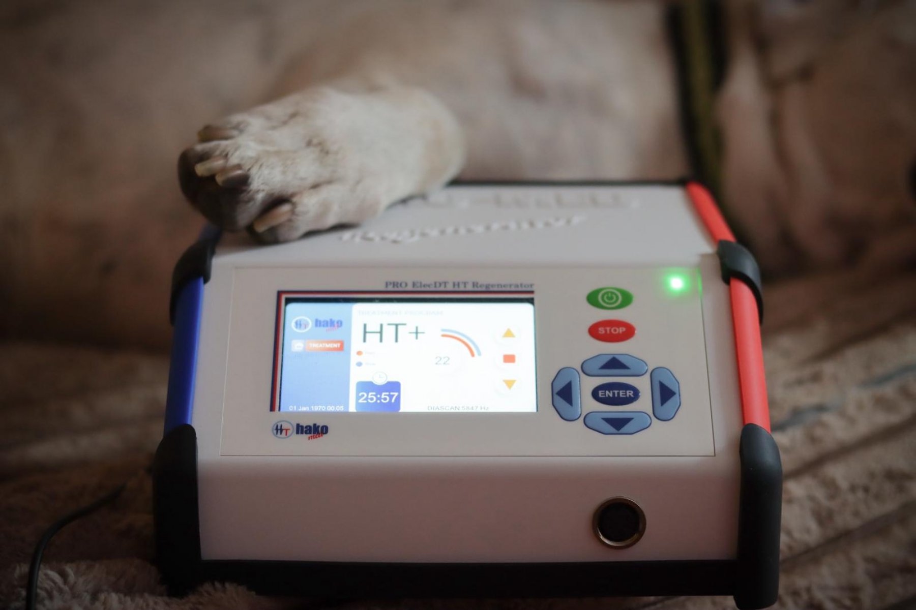 Hako-Med Regenerator™ Horizontaltherapie