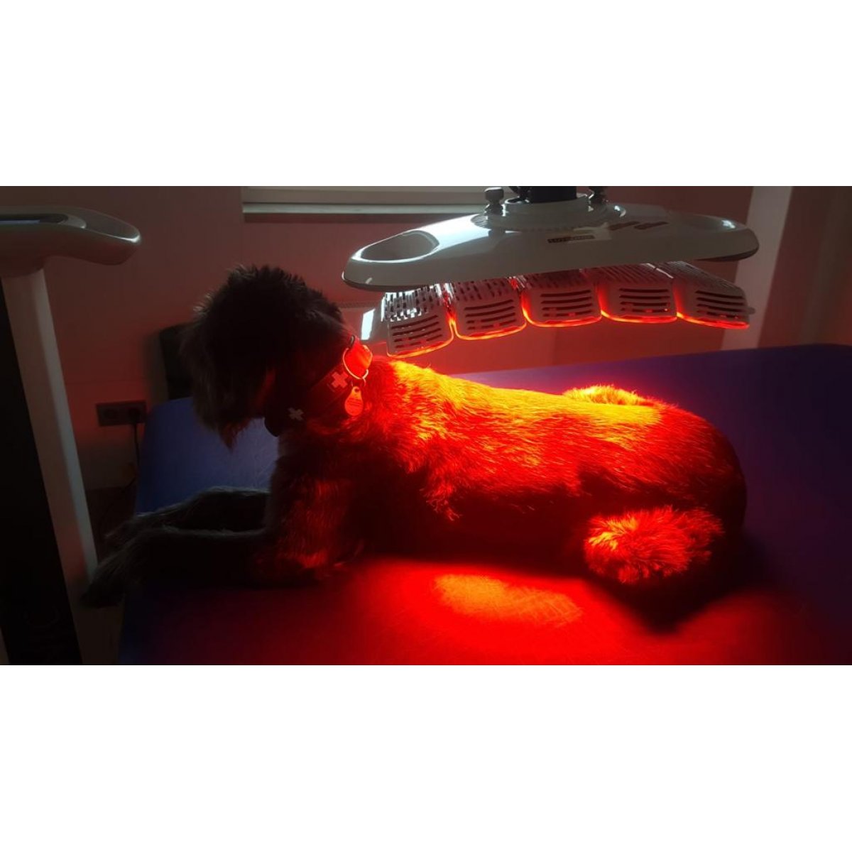 Lutronic Healite II - Lichttherapie LLLT