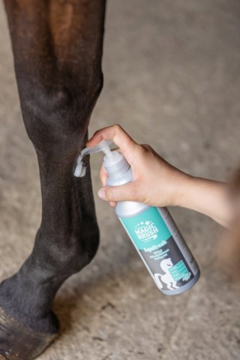 Kühlbalsam Equifresh für Pferd und Reiter